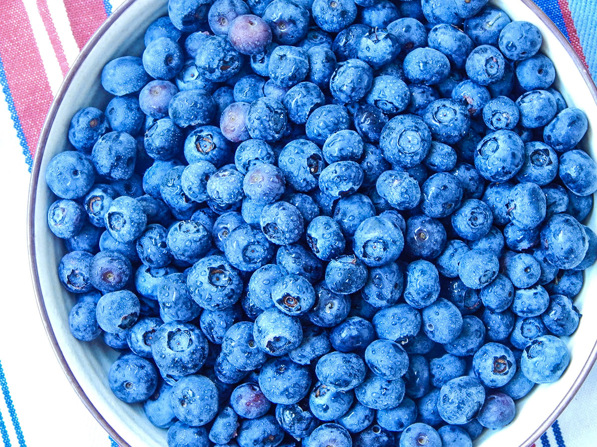 Benefits of Blueberries | Allene Arnold, FNTP